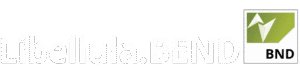 Home - Libellula